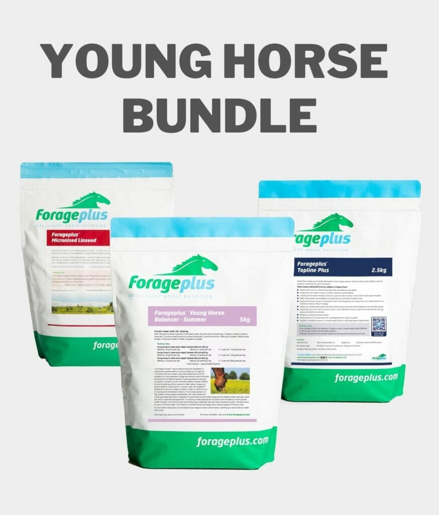 Should You Feed Adlib Hay To Horses And Ponies? | Forageplus