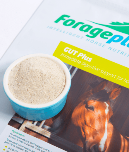 Whey Protein For Horses | Forageplus | Horse Health