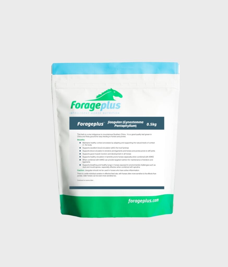 Beetroot Powder For Horses | Highly-Palatable | ORDER NOW!
