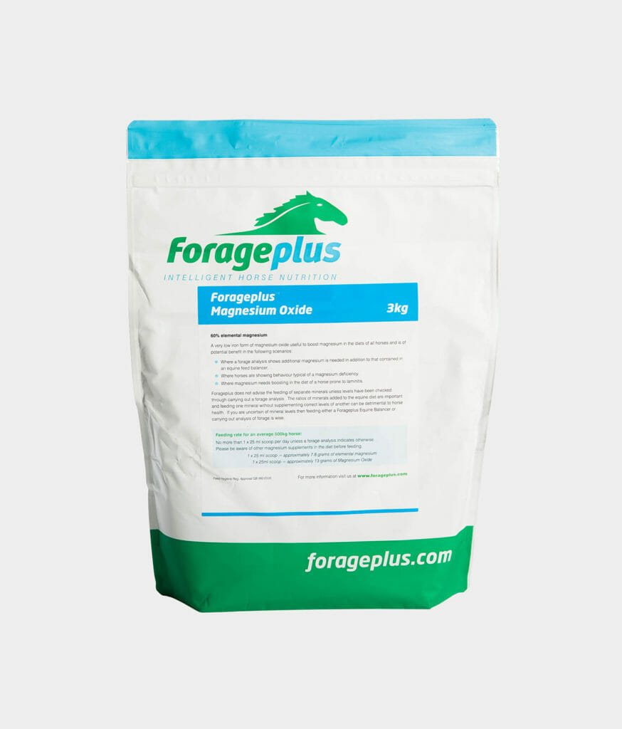 Horse Feed & Supplements | Forage Focused™ | Forageplus