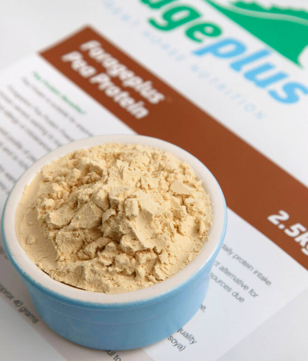 Whey Protein For Horses | Grass-Fed & Hormone-Free | Shop Now!