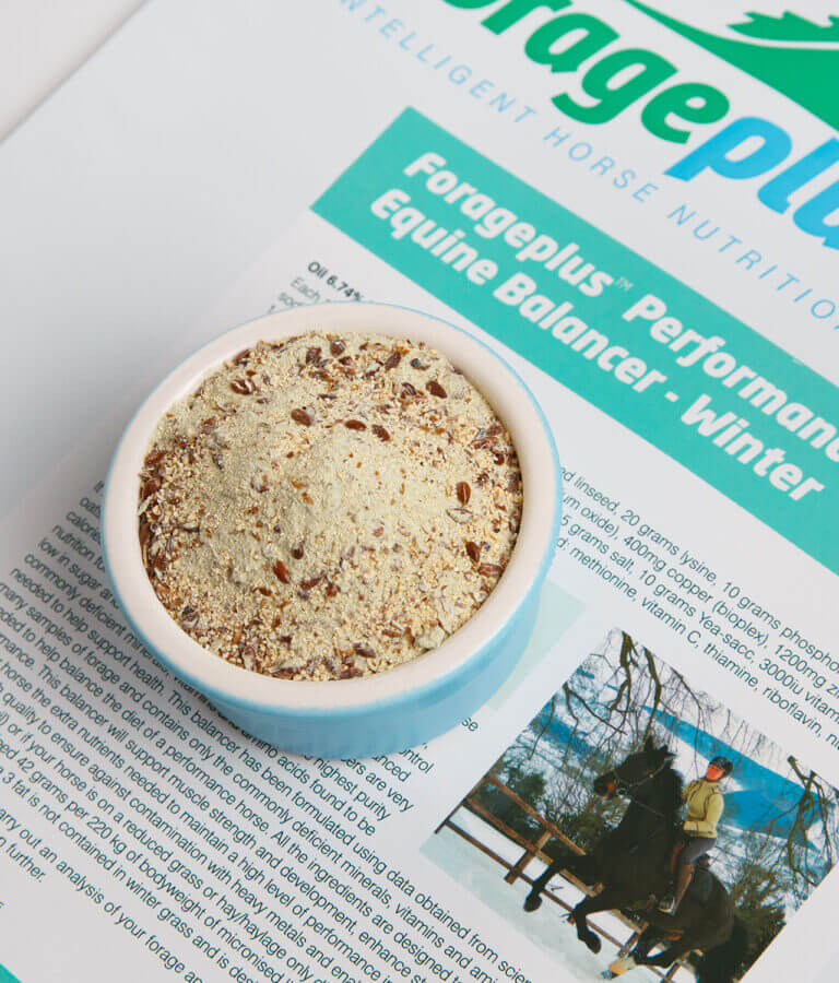 Winter Horse Feed Balancers | Forage Focused | Forageplus