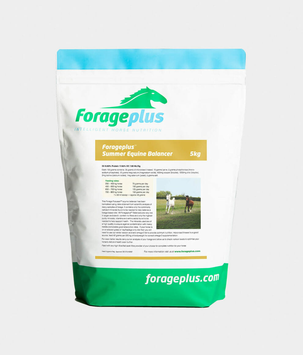 Winter Horse Feed Balancer | Matched To Grass & Hay! | Order Now!