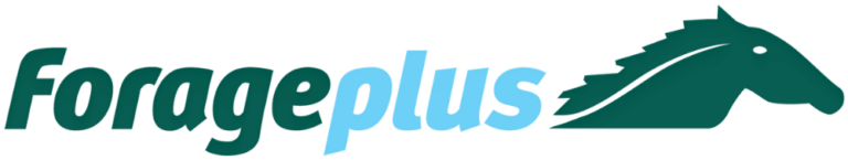 Horse Feed & Supplements | Forage Focused™ | Forageplus