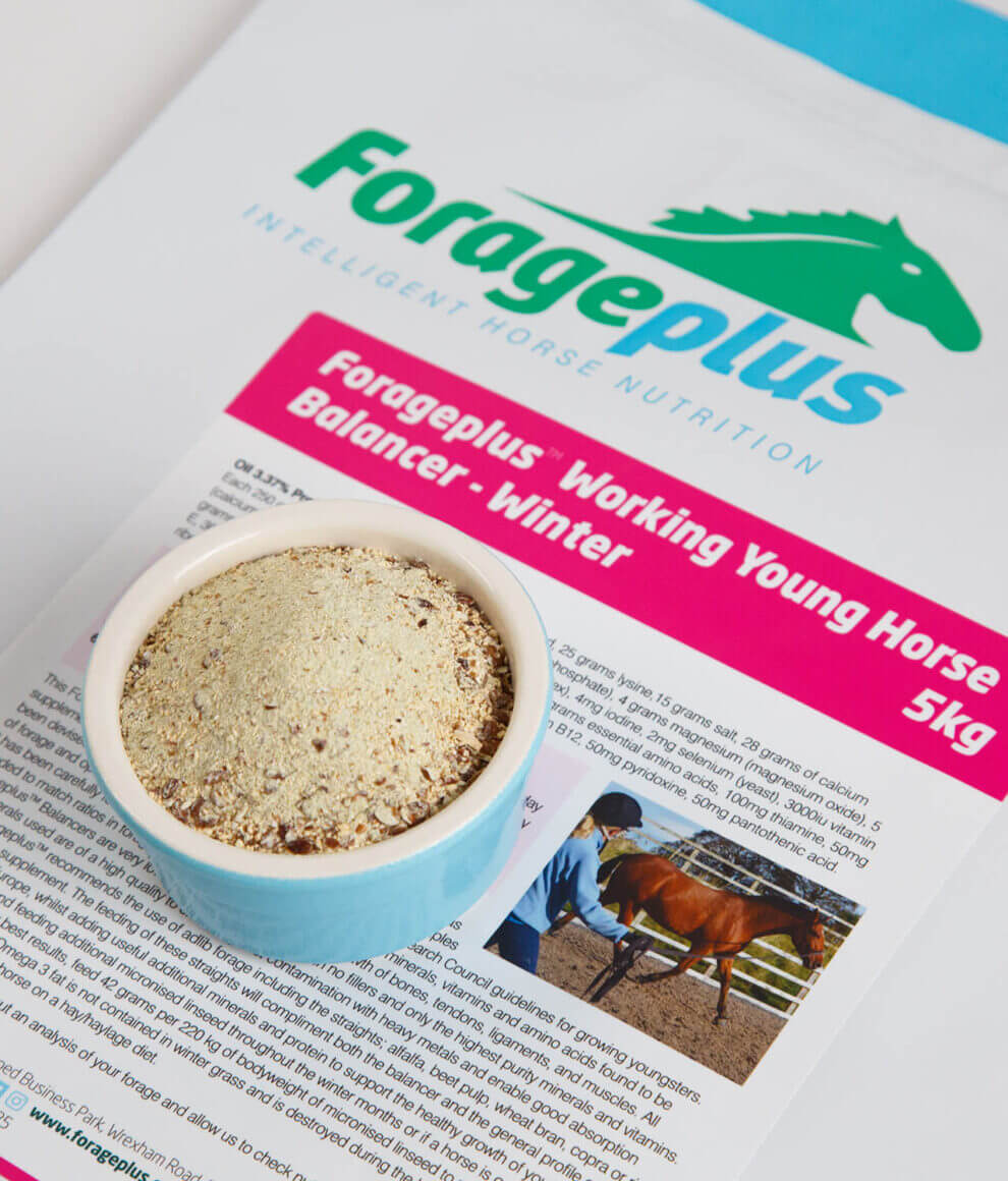 Young Horse Feed Bundle | Essential Growth Support | Shop!