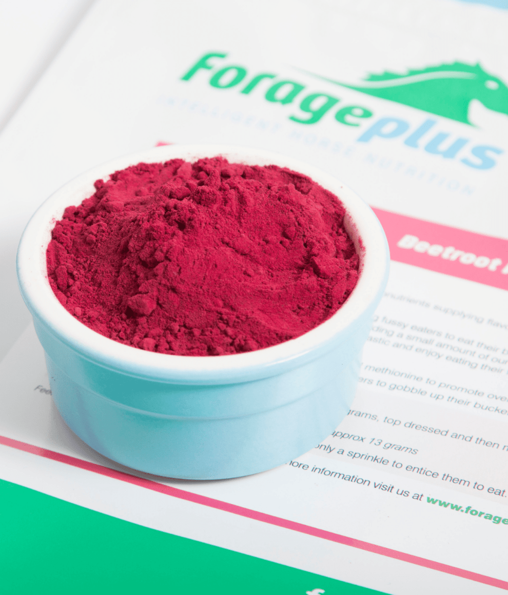 Herbs For Horses | Natural Horse Herbs | SHOP NOW!