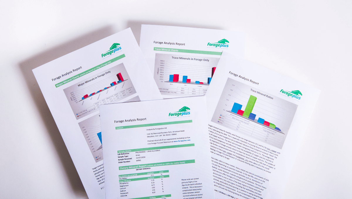 Reasons To Test Hay, Haylage And Grass For Your Horse | Forageplus