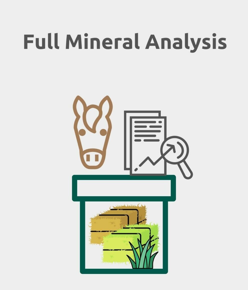Hay Analysis For Horses | Sugar, Starch, Protein & Minerals