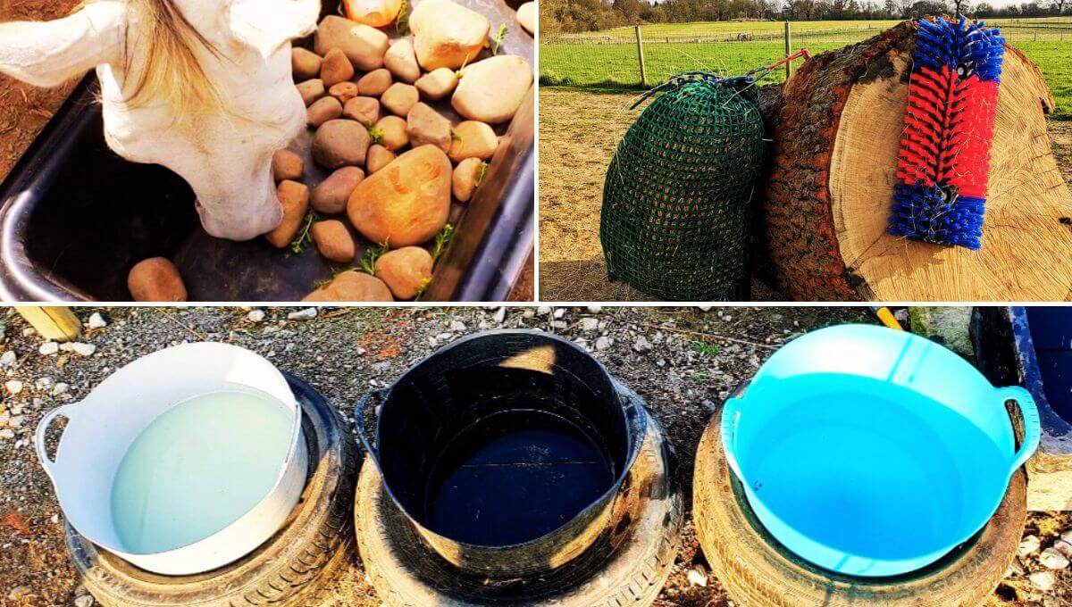 Horse Track Systems - 10 Brilliant Budget Ideas | Forageplus