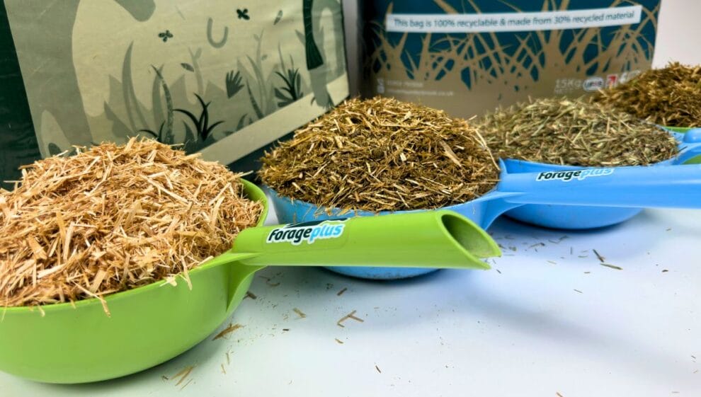 Horse Chaff Exposed: Essential Facts For Every Owner