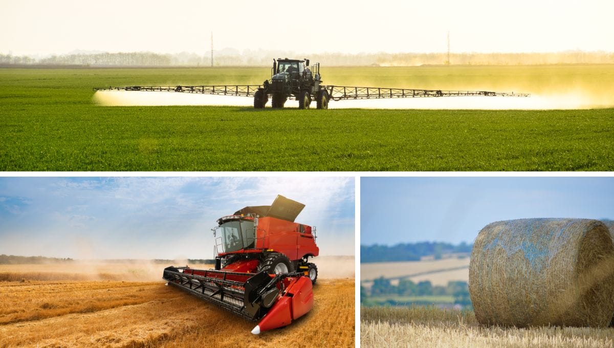 Horse Chaff Exposed: Essential Facts For Every Owner